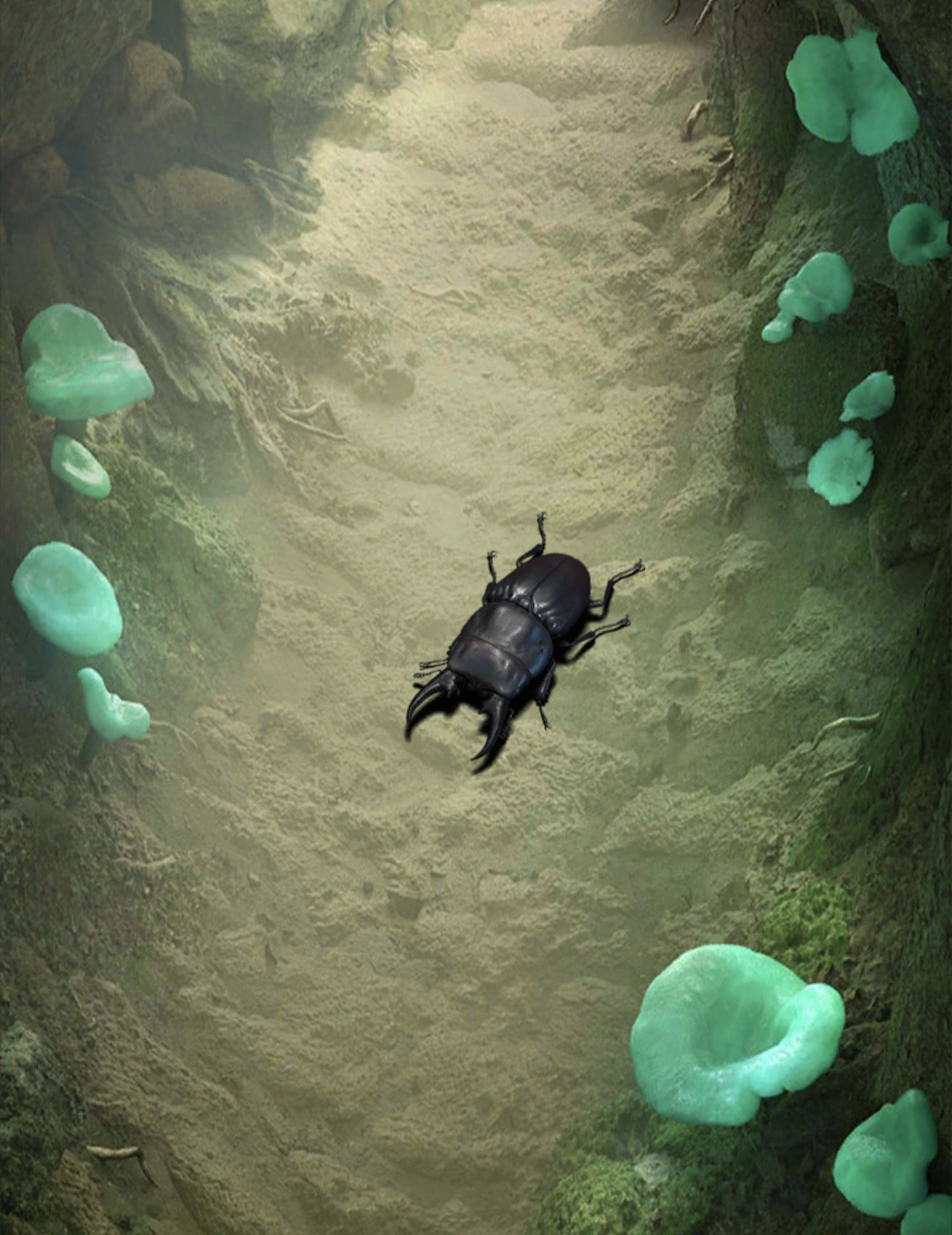 Dorcus Titanus | The Ants: Underground Kingdom Wiki | Fandom