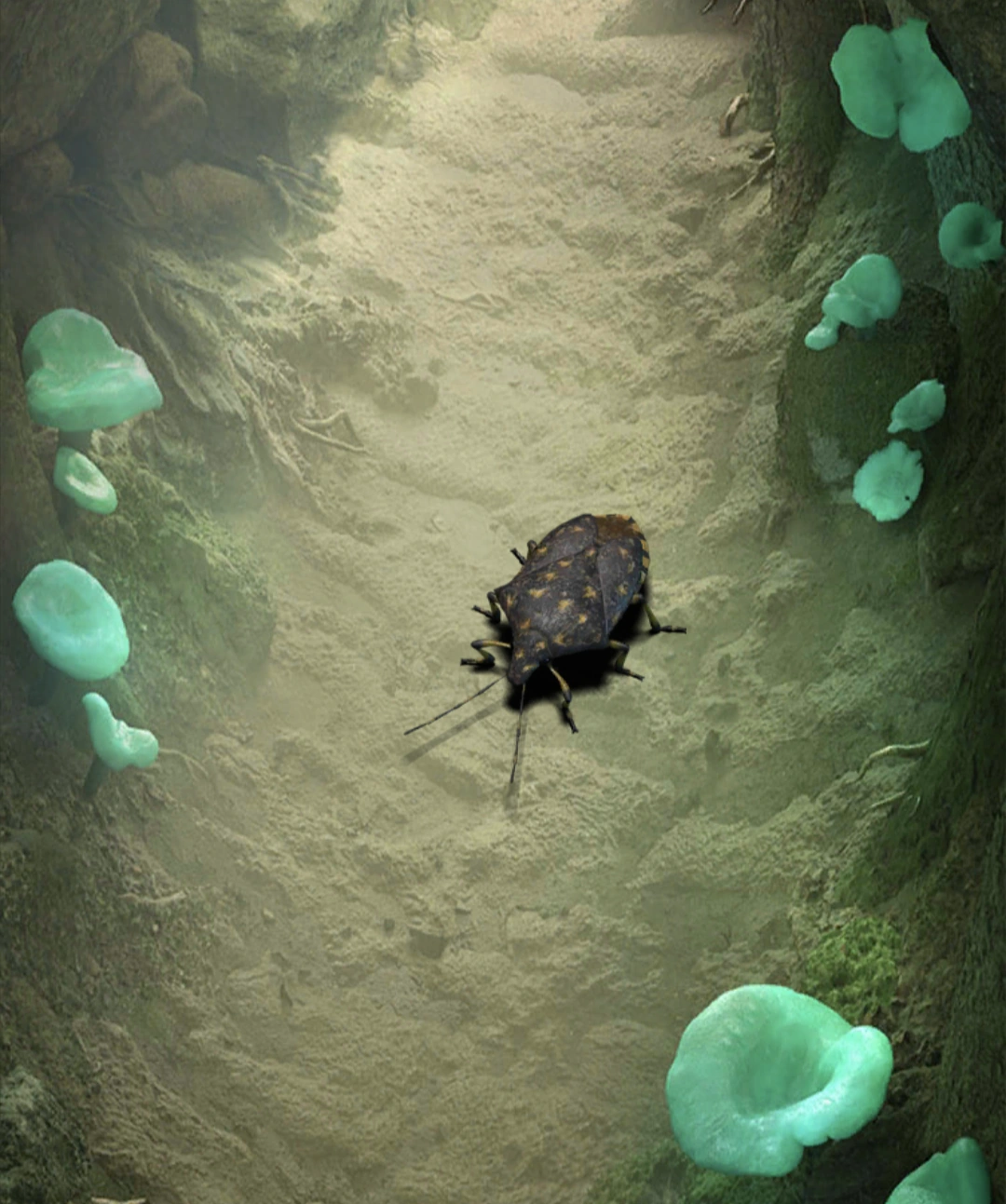 Stinkbug | The Ants: Underground Kingdom Wiki | Fandom