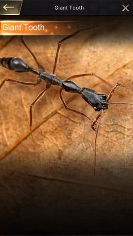 Giant Tooth | The Ants: Underground Kingdom Wiki | Fandom