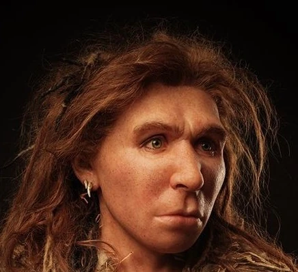 Tuka | The Archipelago Wiki | Fandom