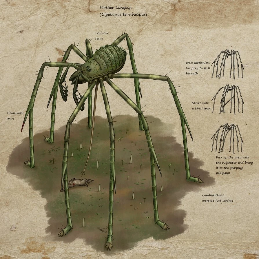 Mother Longlegs | The Archipelago Wiki | Fandom