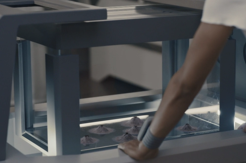 Acceleration terrarium | The Ark Wiki | Fandom