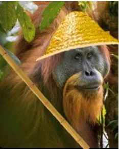 Eyolf | The Awesome Universe Wiki | Fandom