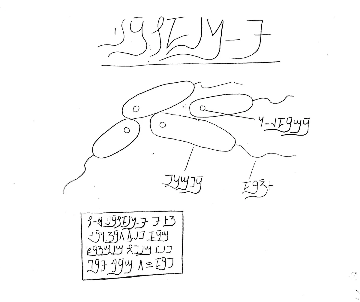 Germ Theory | The Gilamarna Wiki | Fandom