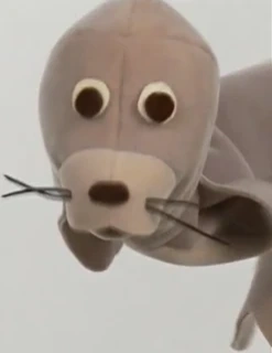 Sandy The Seal | Baby Einstein Wikia | Fandom