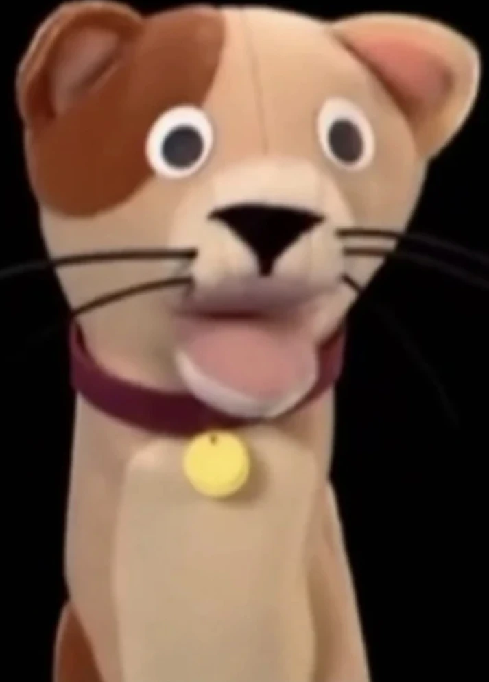 Sugar The Cat | Baby Einstein Wikia | Fandom