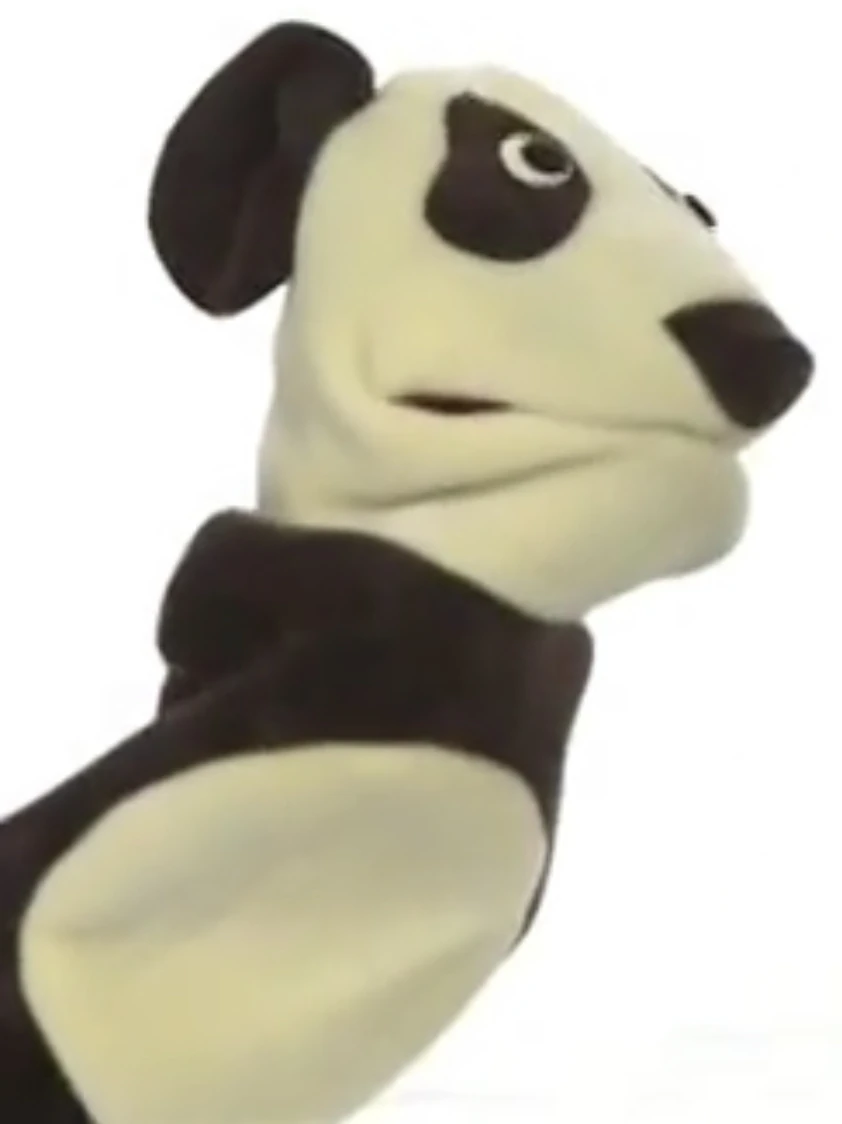 Andy The Panda | Baby Einstein Wikia | Fandom