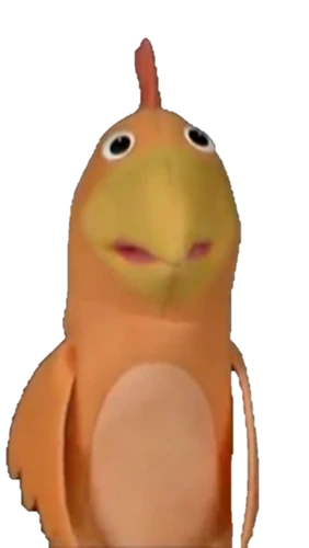 Coco The Cockatoo | Baby Einstein Wikia | Fandom