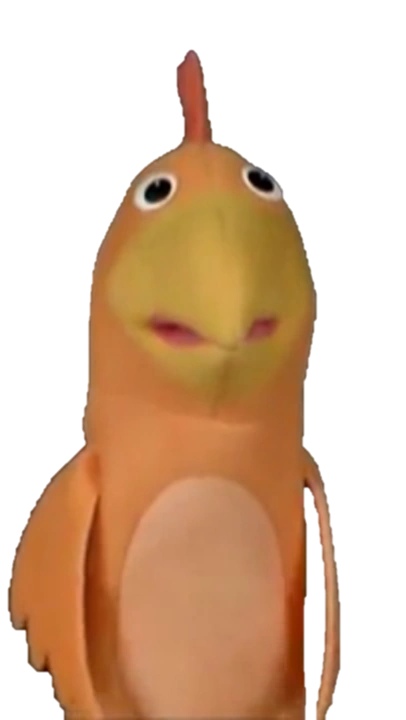 Coco The Cockatoo | Baby Einstein Wikia | Fandom