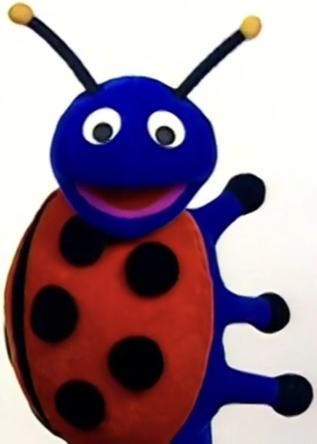 Dotty The Ladybug | Baby Einstein Wikia | Fandom