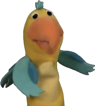 Bud The Parrot | Baby Einstein Wikia | Fandom