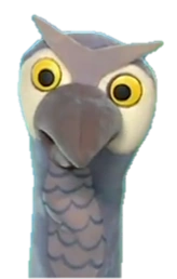 Otto the Owl | Baby Einstein Wikia | Fandom