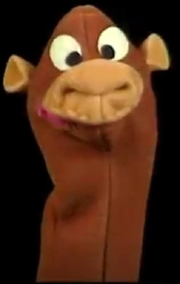 Jane The Monkey | Baby Einstein Wikia | Fandom