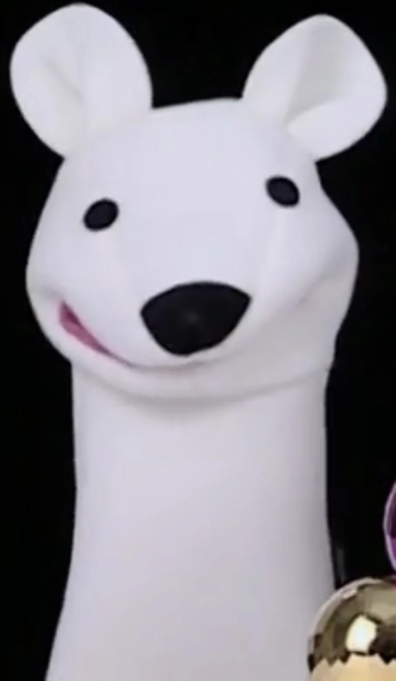 Nora The Polar Bear | Baby Einstein Wikia | Fandom