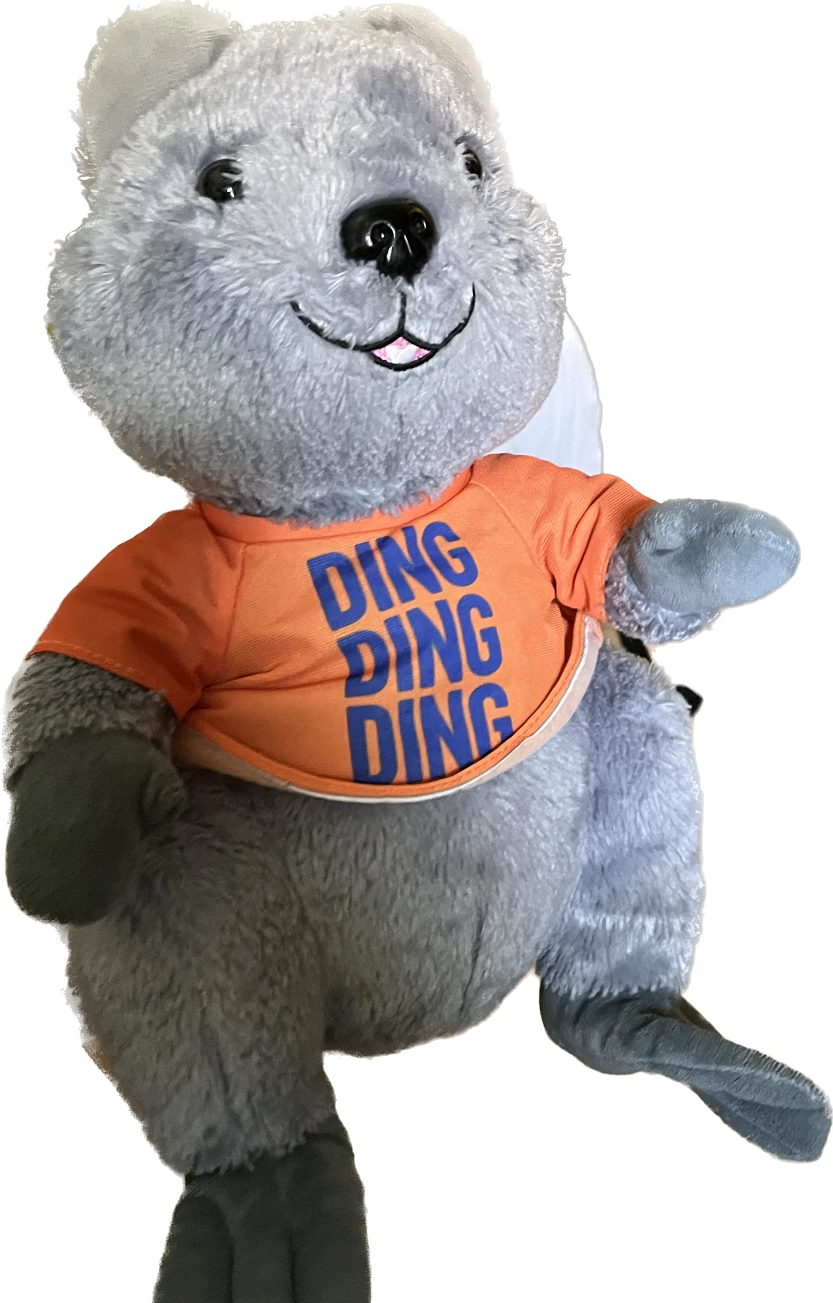 Ding Ding | The Baby Yoda Show Wiki | Fandom