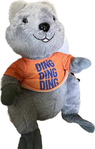 Ding Ding | The Baby Yoda Show Wiki | Fandom