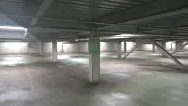 Level 1: "Habitable Zone" | The Back Rooms Multiverse Wiki | Fandom