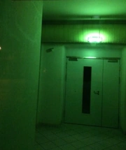 Level ¡ : "Stillness is Key¡" | The Backrooms Archive Wiki | Fandom