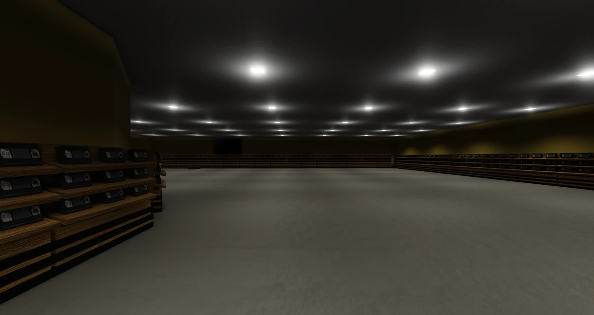 Level 40-B/Old game: "Video Rental Store" | The Backrooms Shattered ...