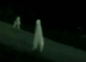 Partygoers | The Backrooms Wiki | Fandom