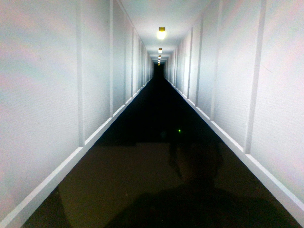 Level 1.1 - "Corrupt Corridor" | The Backrooms Experience: Alternative ...