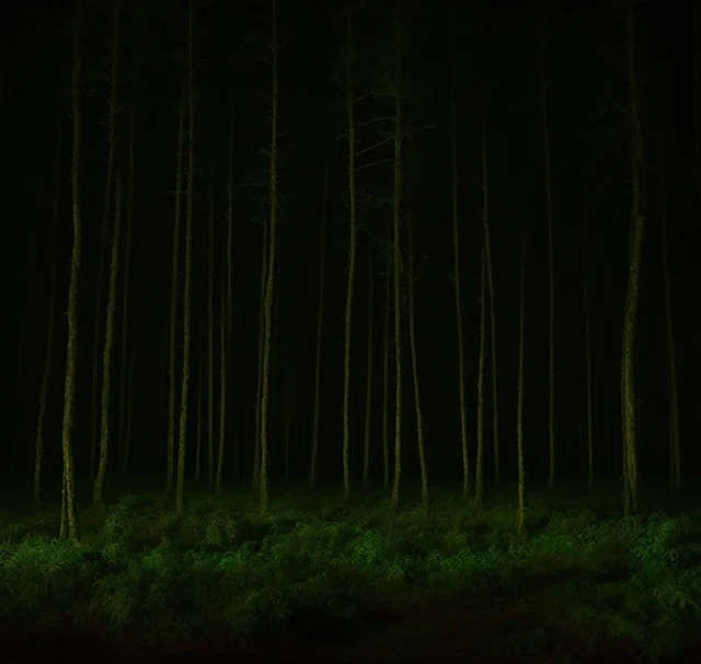 Entry 6 -"Nyctophobia" | The Backrooms (Fanmade) Wiki | Fandom