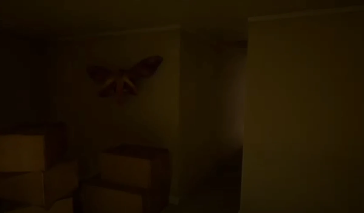 Female Death Moth | The Backrooms: Lost Tape Wiki | Fandom