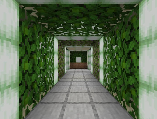 Level 51 | The Backrooms of minecraft Wiki | Fandom