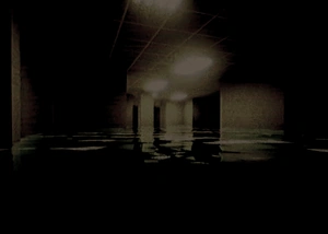 Level 0.8 | The Backrooms Redesigned Wiki | Fandom