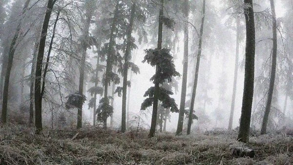 Level 35.1 | The Backrooms Redesigned Wiki | Fandom