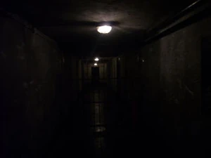 Level 6.66 | The Backrooms Redesigned Wiki | Fandom