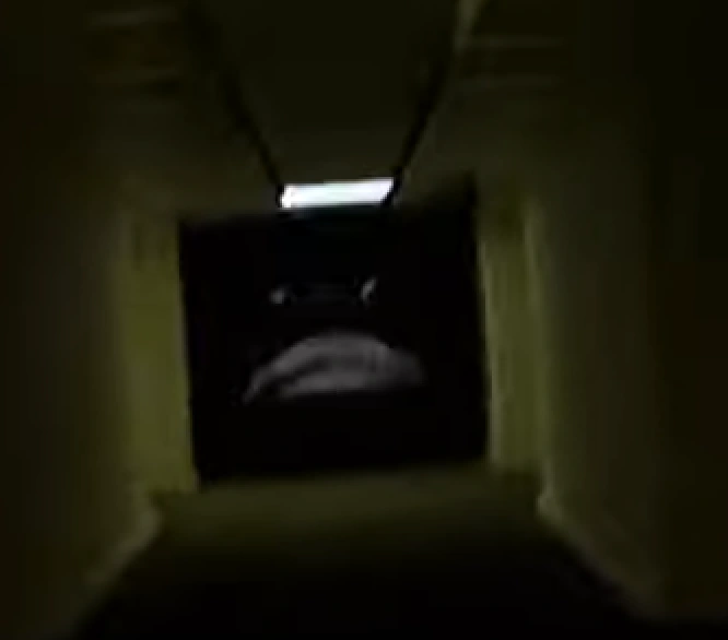 Frowners | The Backrooms Redesigned Wiki | Fandom