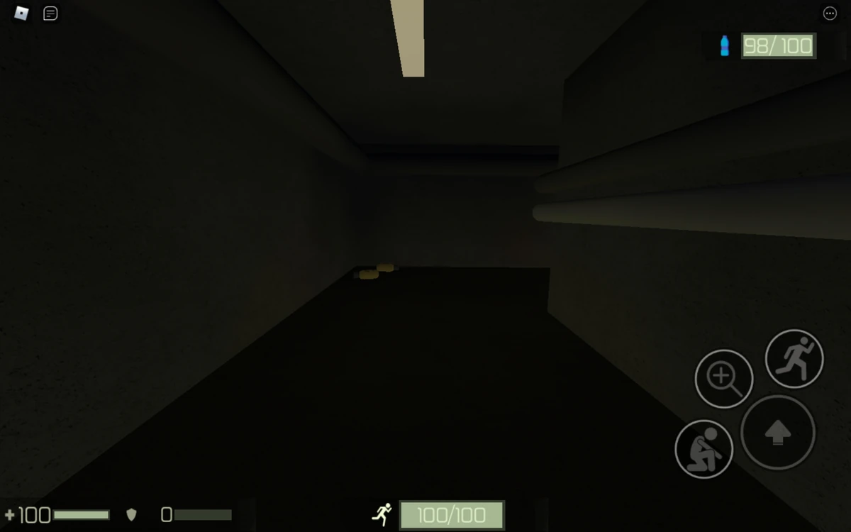 Level 2 | The Backrooms Roblox Official Wiki | Fandom