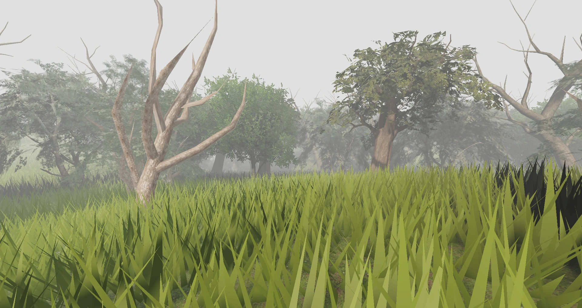 Level 47: “The Adderwood” | The Backrooms:Uncharted Territory Wiki | Fandom