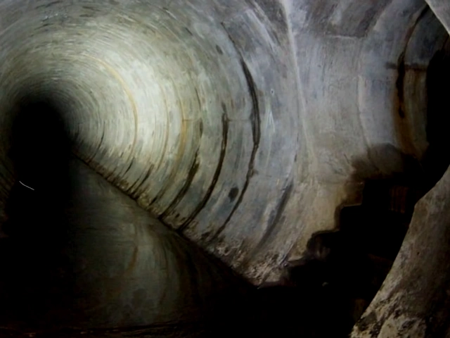 Level 110 | The Backyards Wiki | Fandom