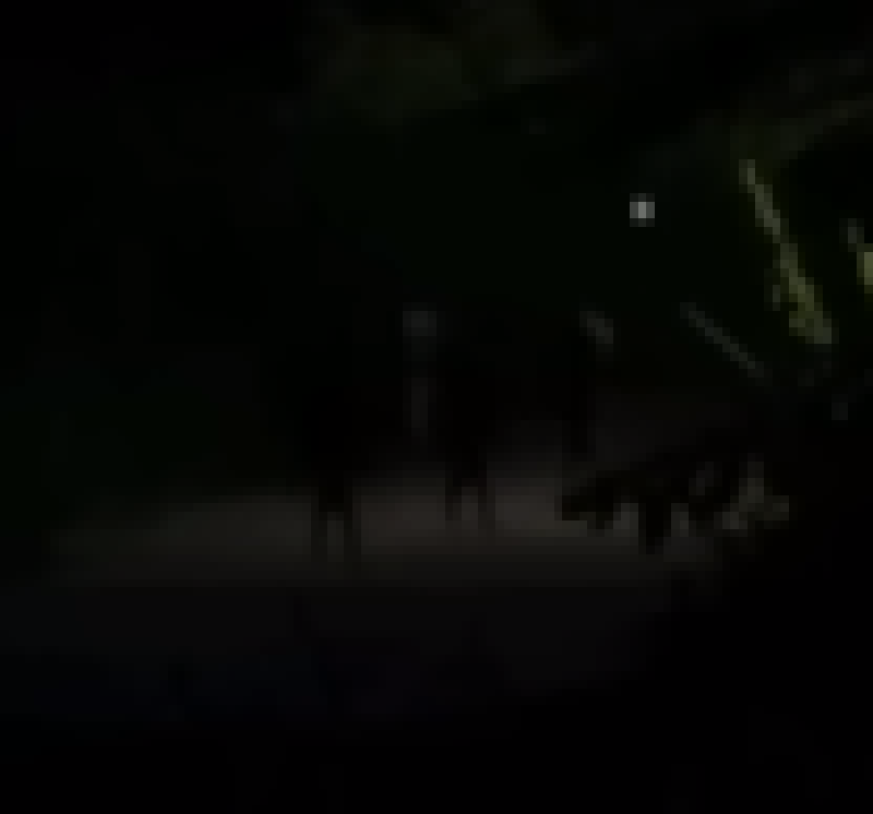 The gooby goofers (joke) | The Backyards Wiki | Fandom