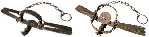 Beartrap | The Baldi's Basics Times Wiki | Fandom