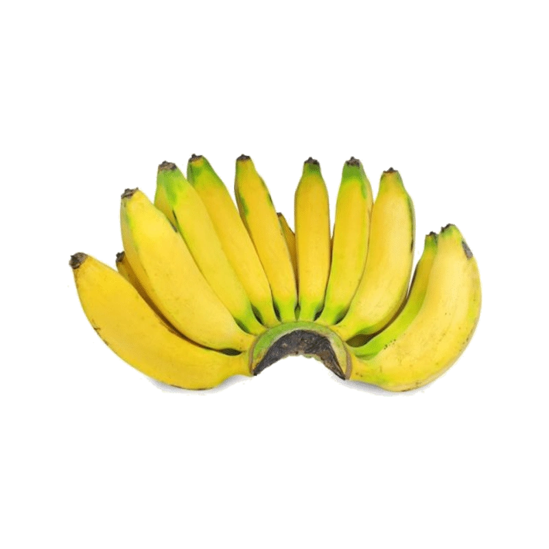 Pisang Raja | The banana Wiki | Fandom