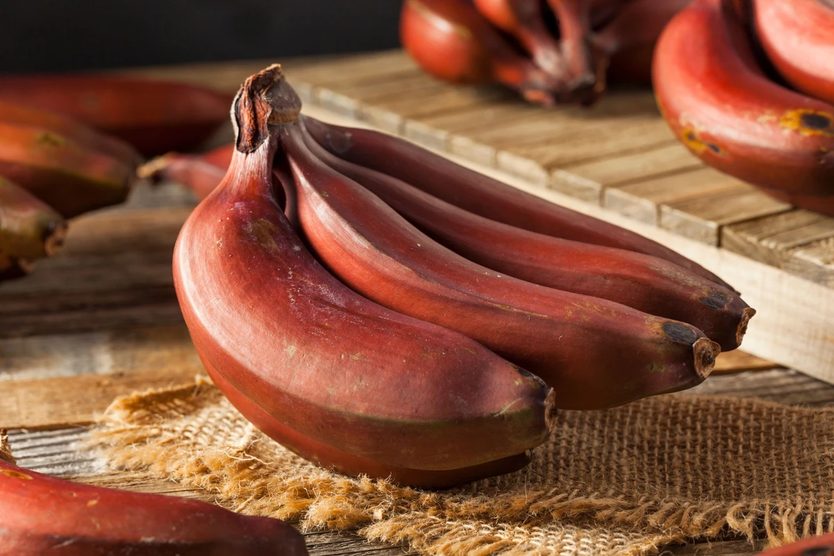 Red Banana | The banana Wiki | Fandom