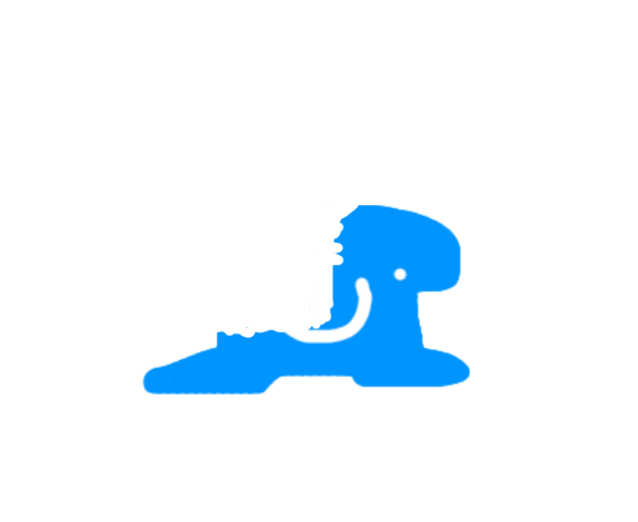 Captain Fiddles | The Banban Show Wiki | Fandom