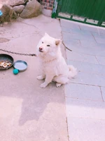 Soonshim | BTS Wiki | Fandom