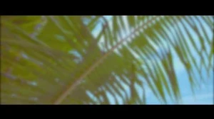 G.C.F | BTS Wiki | Fandom