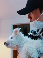 Jjangu | BTS Wiki | Fandom