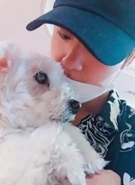 Jjangu | BTS Wiki | Fandom