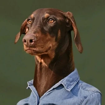 Bam | BTS Wiki | Fandom