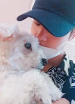 Jjangu | BTS Wiki | Fandom