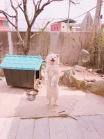 Soonshim | BTS Wiki | Fandom