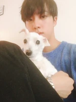 Jjangu | BTS Wiki | Fandom