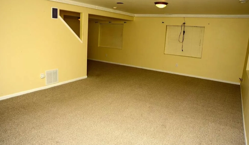 Level 5: "The Basement" | The Barren Rooms Wiki | Fandom