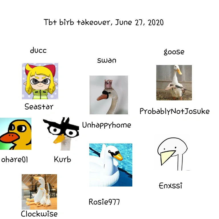 Duck cult | The Basement Wiki | Fandom